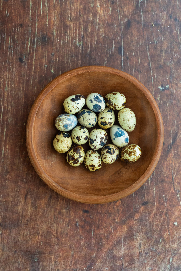 Eggs - Quail - Telur Puyuh – ISLAND ORGANICS BALI