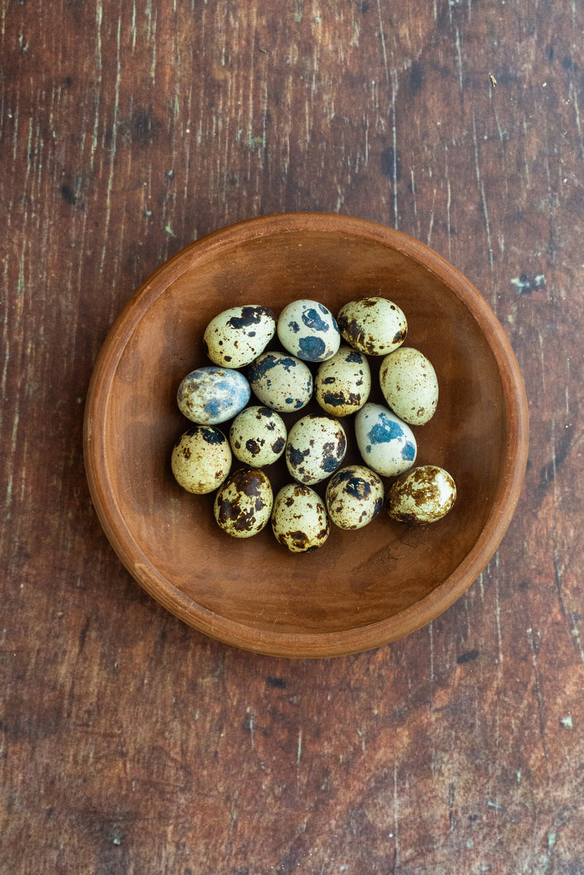 Eggs - Quail - Telur Puyuh – ISLAND ORGANICS BALI