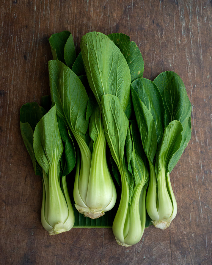 Asian Greens, Bok Choy - Shanghai Type Green – ISLAND ORGANICS BALI