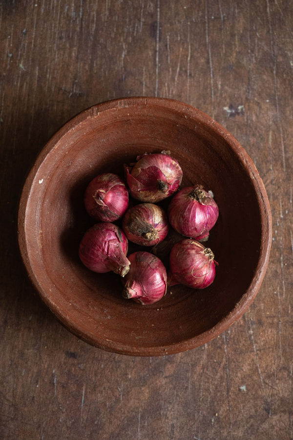 Shallot - Bawang Merah – ISLAND ORGANICS BALI